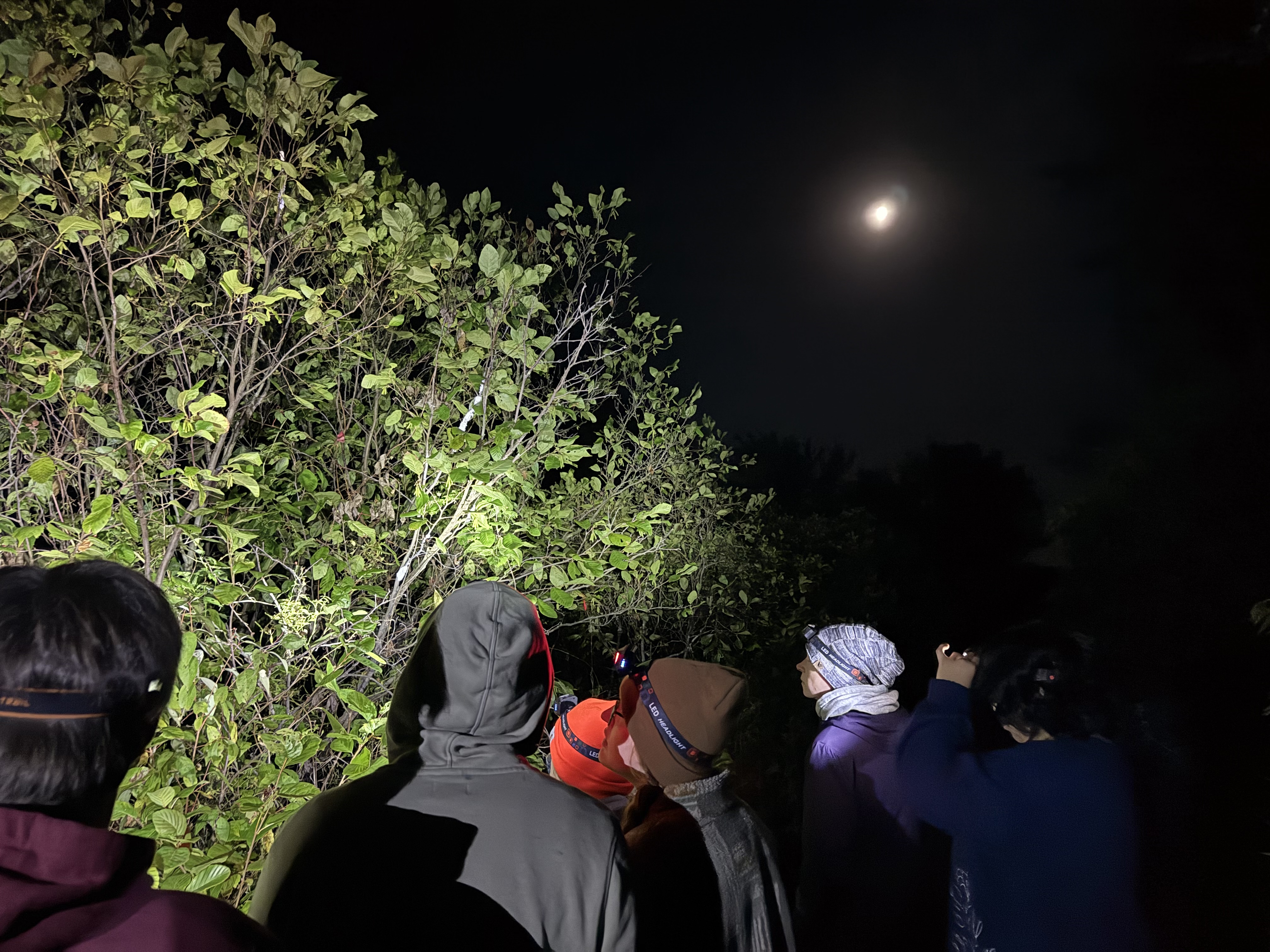 September: Light Trapping Seminar and Insect BioBlitz | Finger Lakes ...